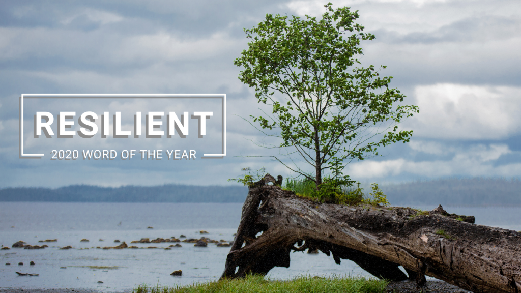 2020 Year in Review - Policy Research Associates