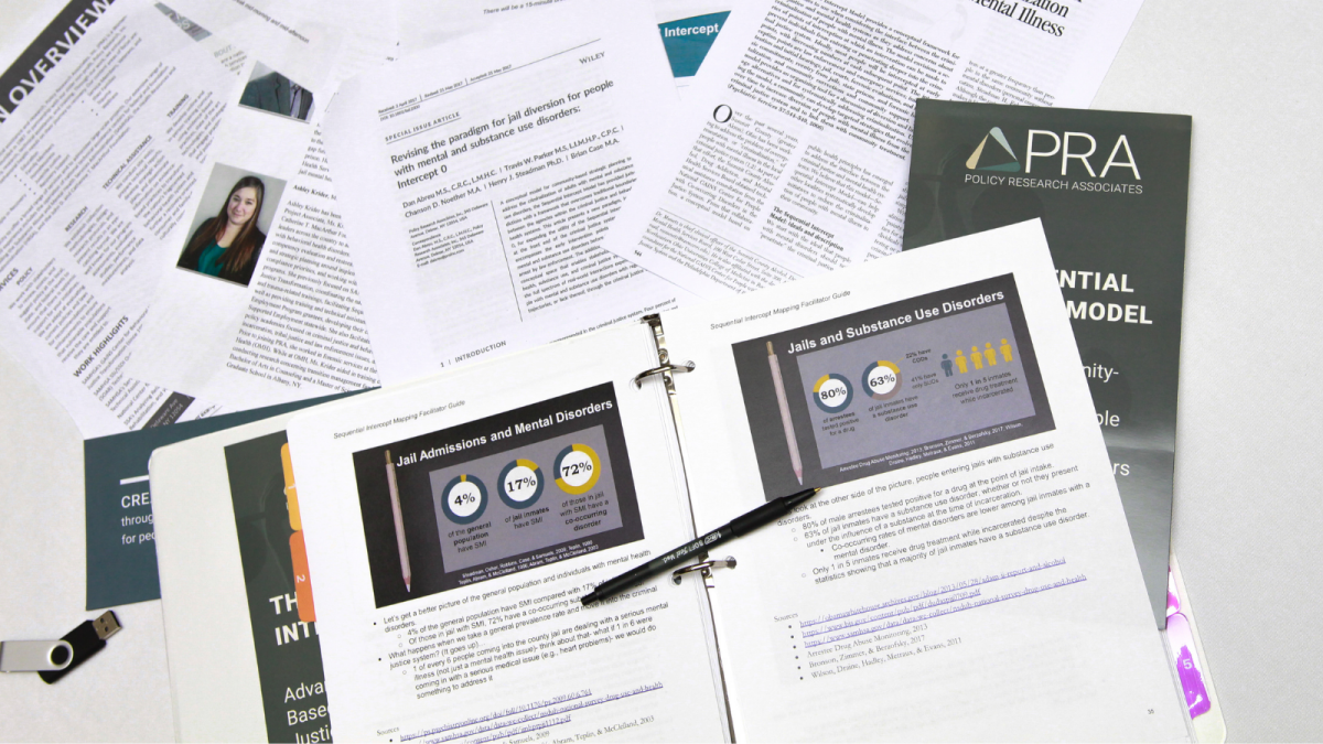 Behind the Lens: Sequential Intercept Model Mapping Workshop ...