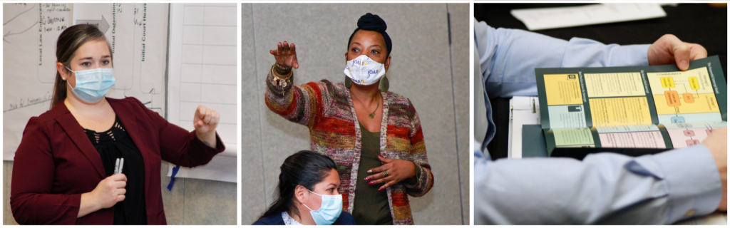 Behind the Lens: Sequential Intercept Model Mapping Workshop ...