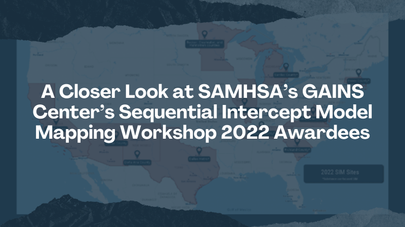 A Closer Look at the GAINS Center’s SIM Mapping Workshop 2022 Awardees