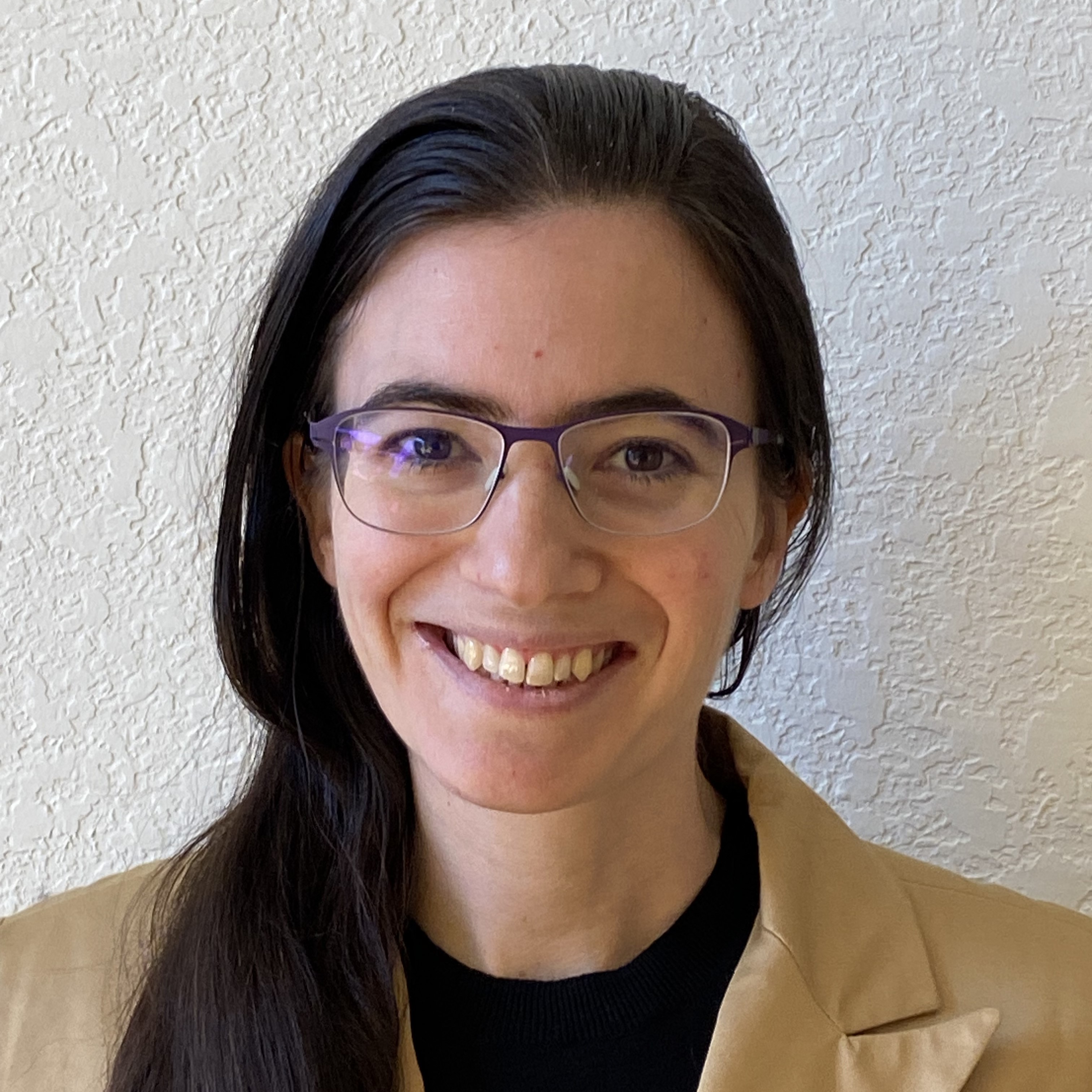 Allison Weber - Policy Research Associates